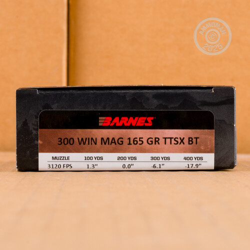 300 Win Mag Ammo - Bulk Rounds with Free Shipping