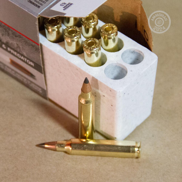 204 Ruger Ammo - 20 Rounds of Winchester Varmint-X 32 Grain PT at ...